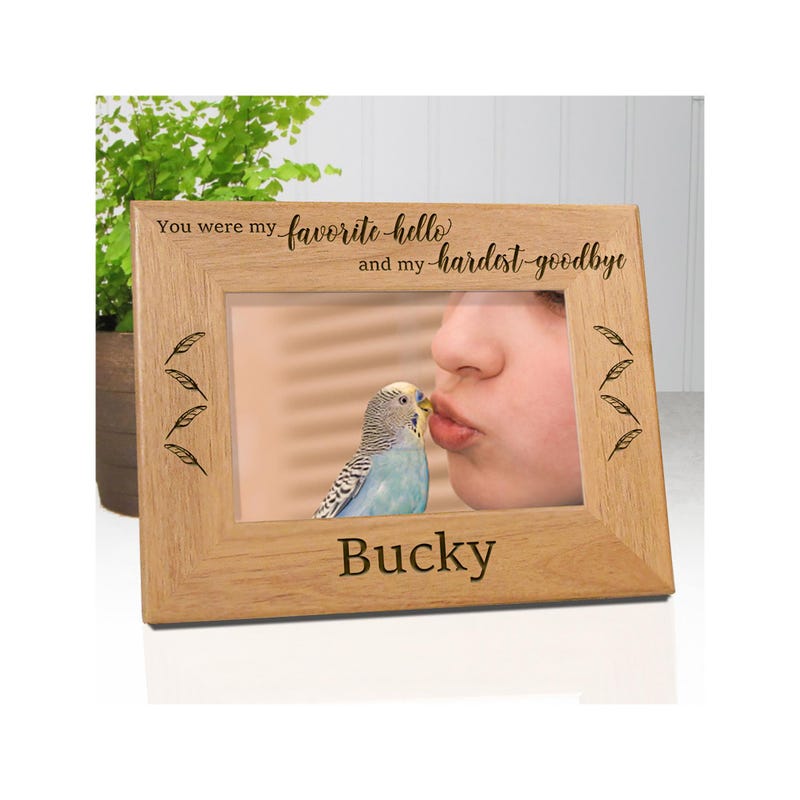 Pet Bird Picture Frames - Etsy