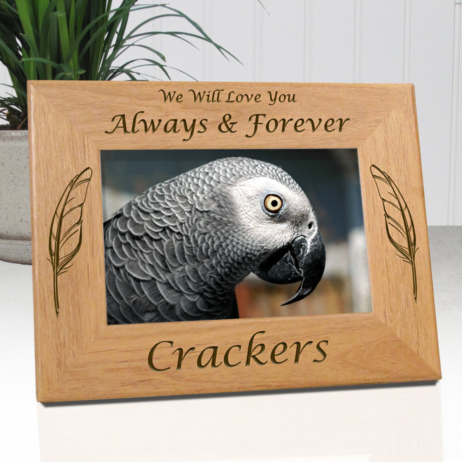 Bird Memorial, Photo Frame, Parrot, Parakeet, African Grey, Amazon ...