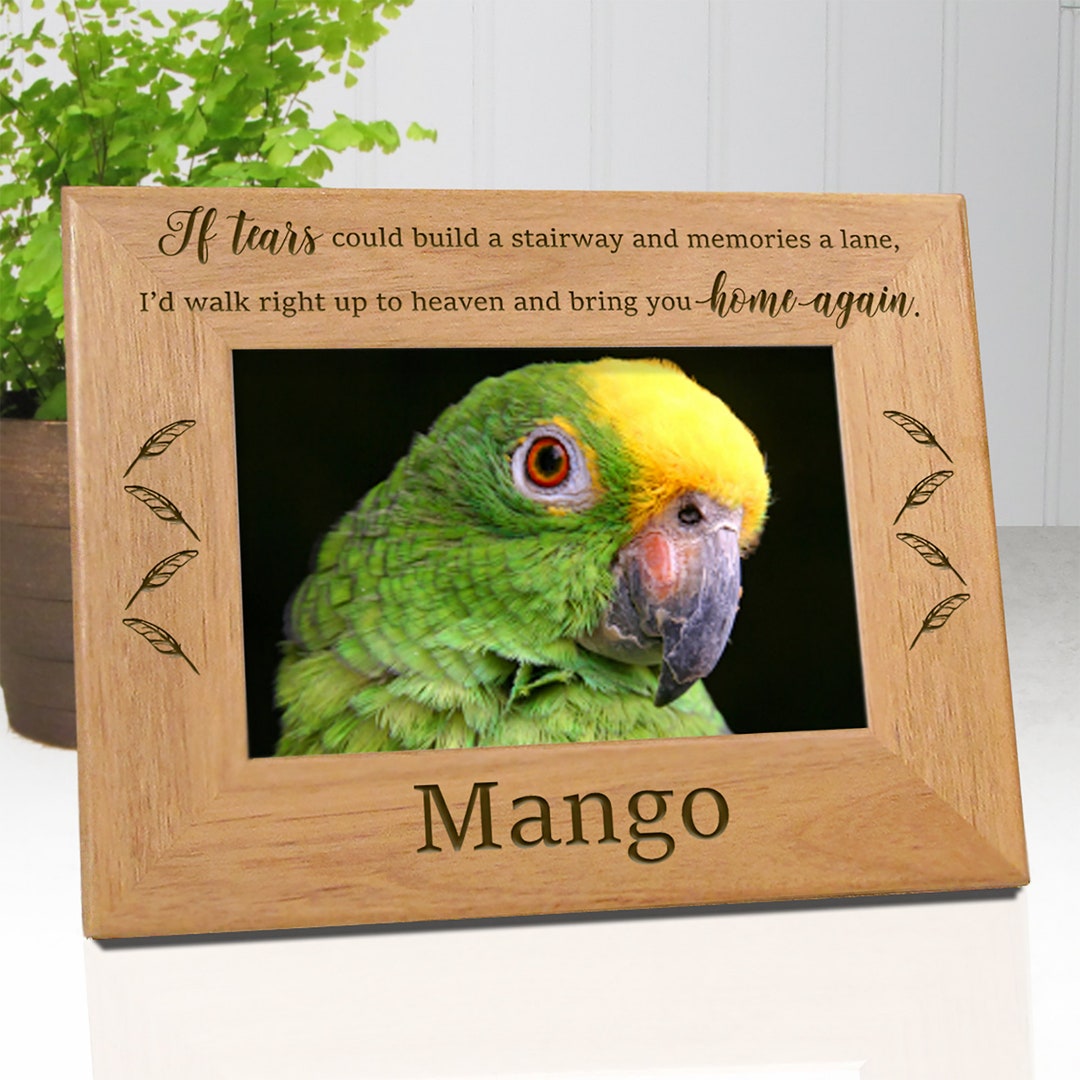 4x6 Bird Remembrance Frame, If Tears Quote, Bird Picture Frame, Death ...
