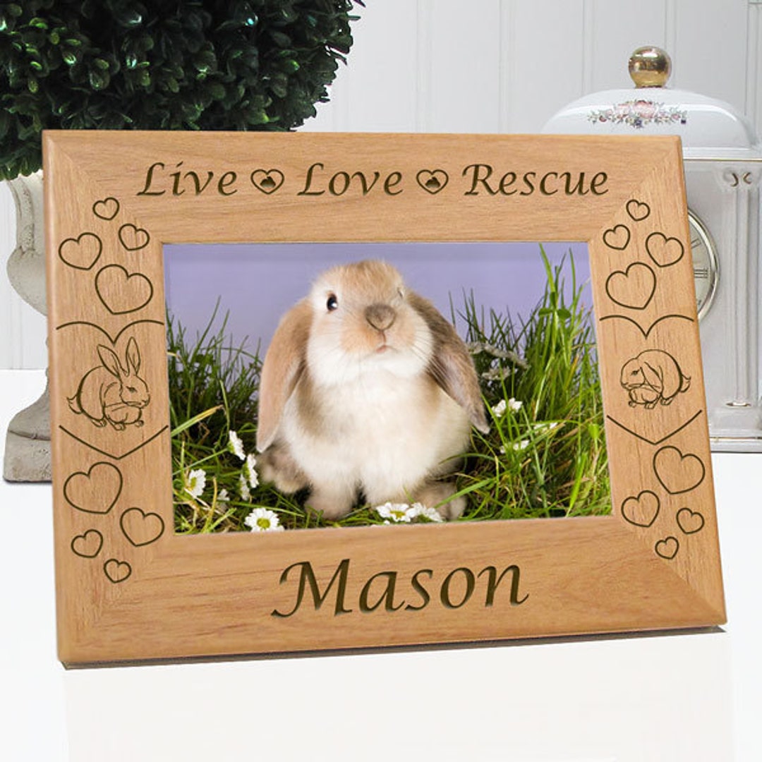 Live Love Rescue Rabbit Picture Frame, Rabbit Adoption Gifts, Bunny Mom ...