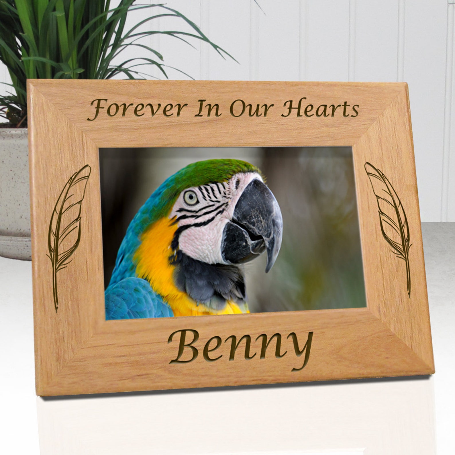 Bird Memorial Photo Frame Parrot Parakeet African Grey - Etsy