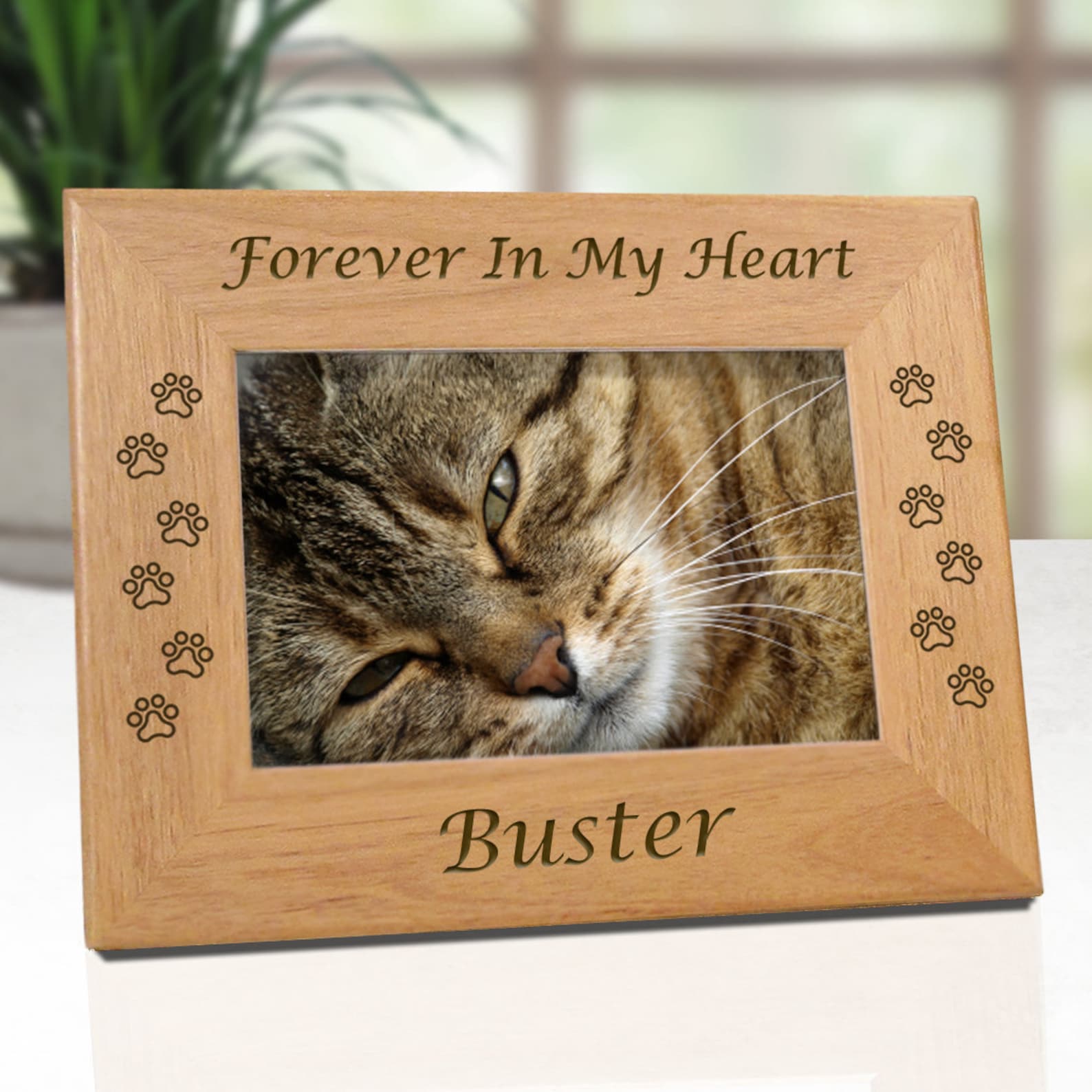 Personalized 4x6 Cat Loss Picture Frames Choice of 8 - Etsy
