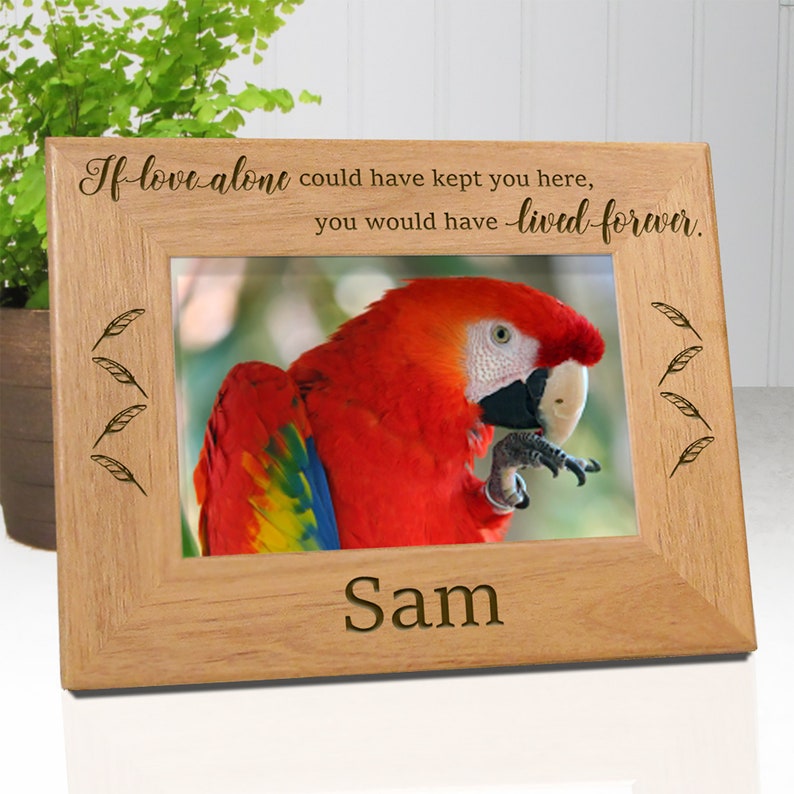 4x6 Personalized Bird Frame Bird Picture Frame Bird Lover - Etsy