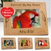 Bird Memorial Photo Frame Parrot Parakeet African Grey - Etsy
