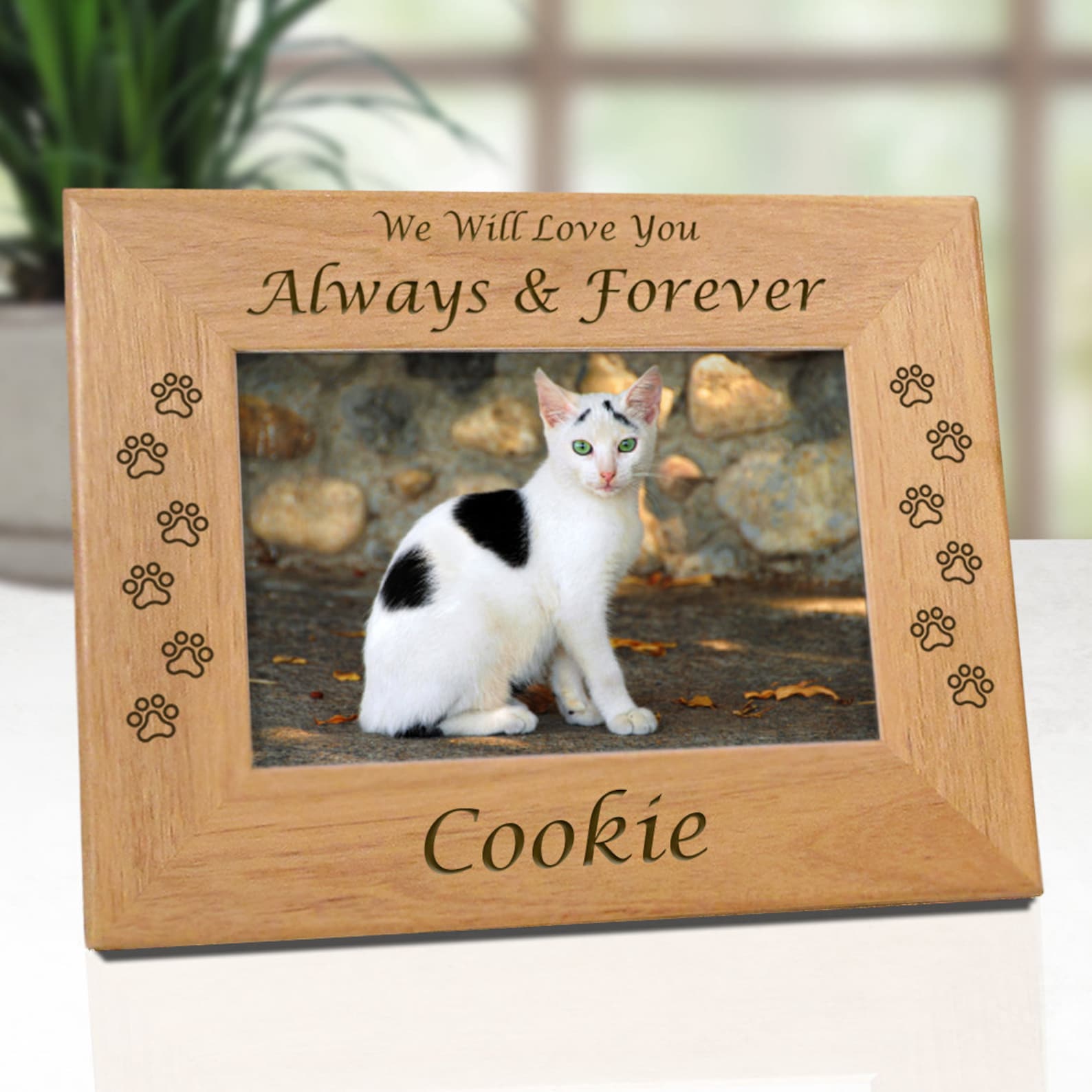 Cat Memorial Frame Pet Loss Gifts Cat Picture Frame Picture | Etsy