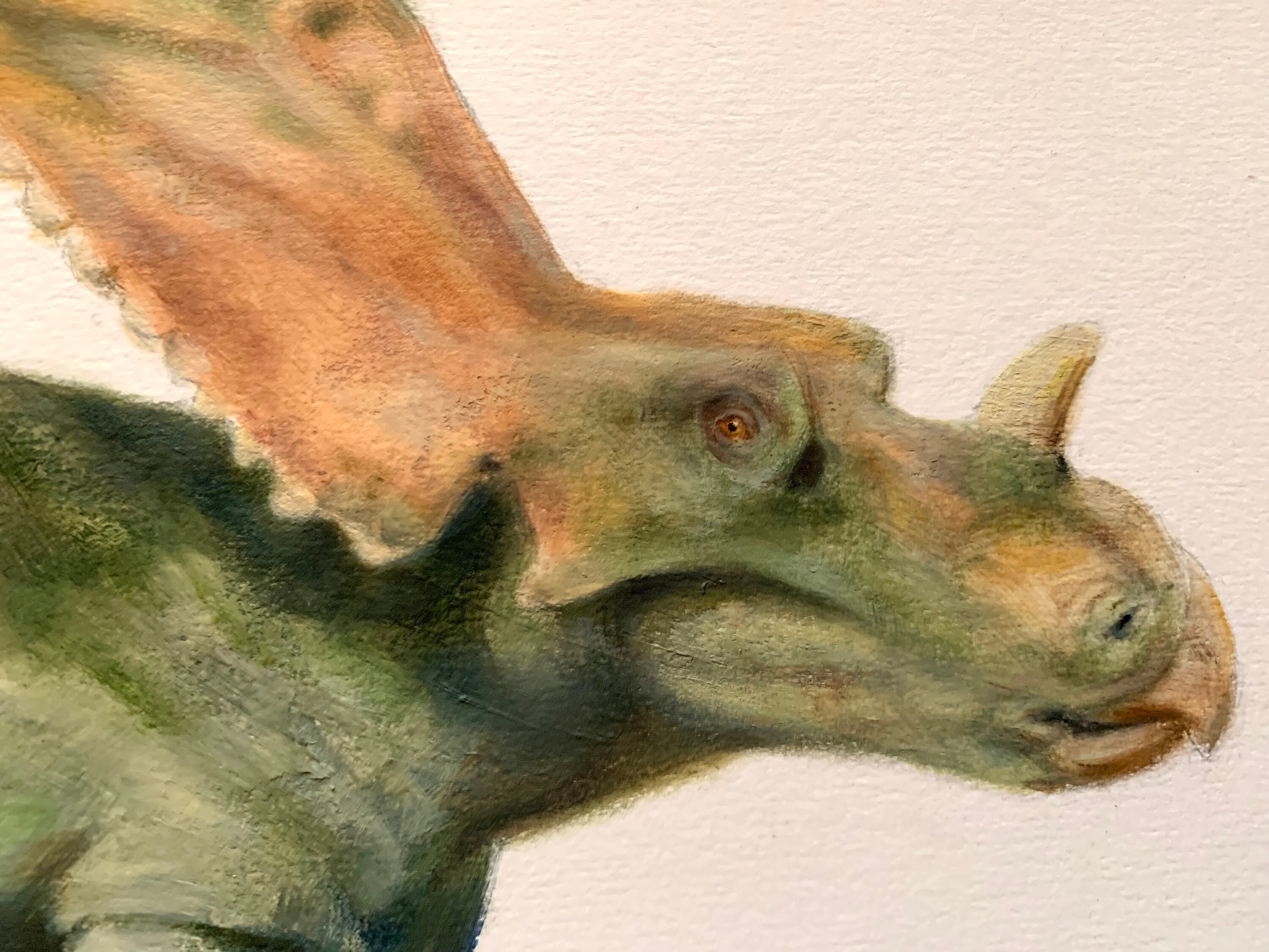 Chasmosaurus, Framed Original Oil Painting on 6"x8" Illustration Board ...