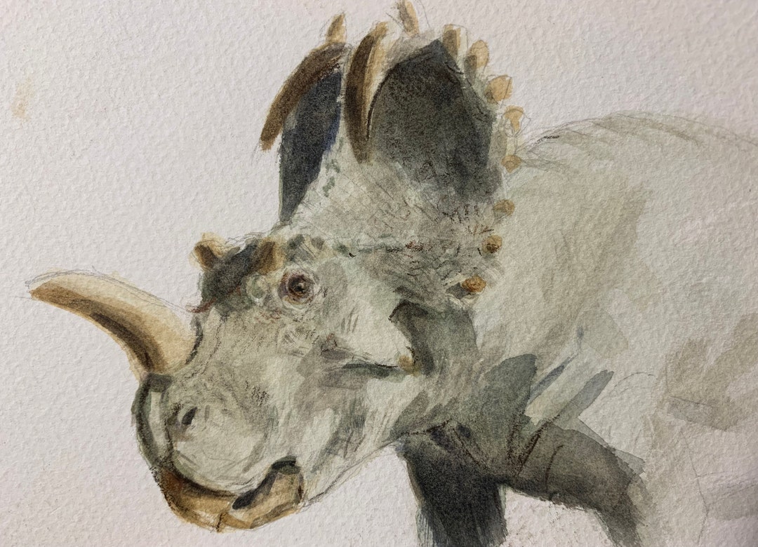 Centrosaurus Sketch, Framed Original Watercolor Painting on 4"x6 ...