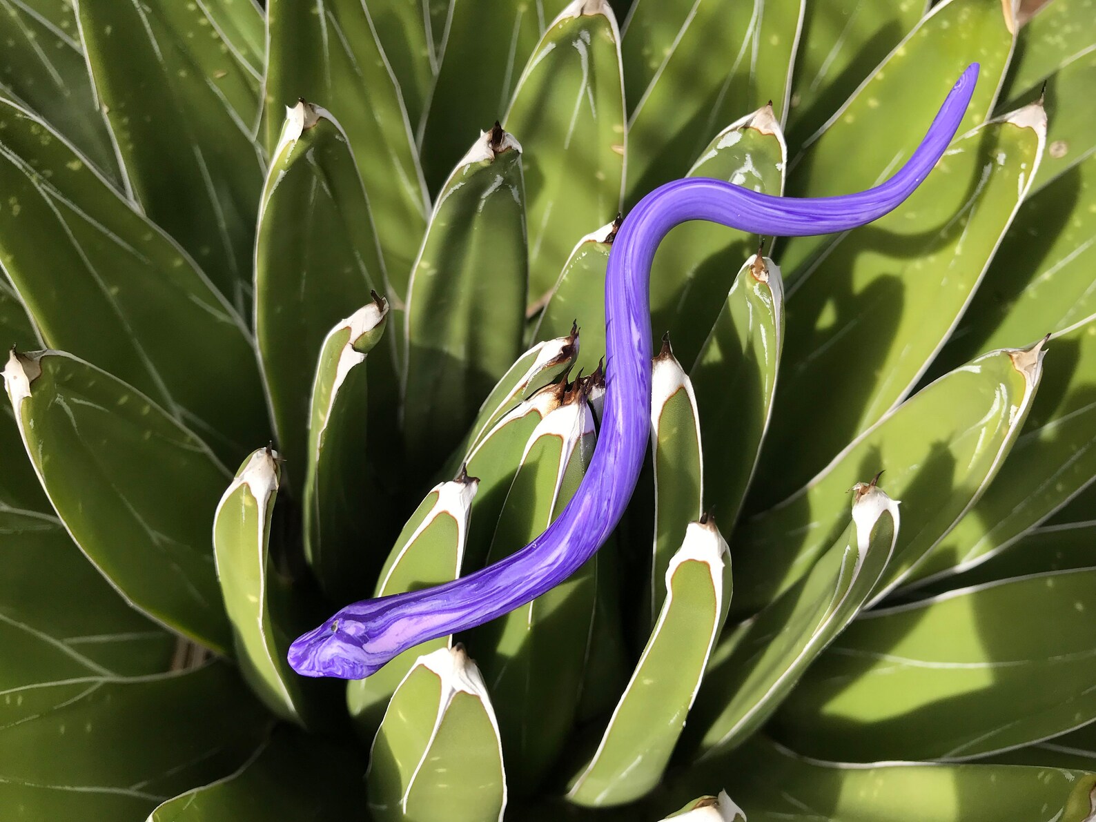 Hand Sculpted Snake Magnet Made of Polymer Clay Office - Etsy