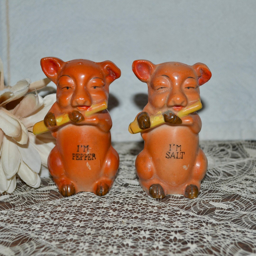 Pig Shaker Set I'm Salt Pepper Farmhouse Decor Vintage Kitchen Decor - Etsy