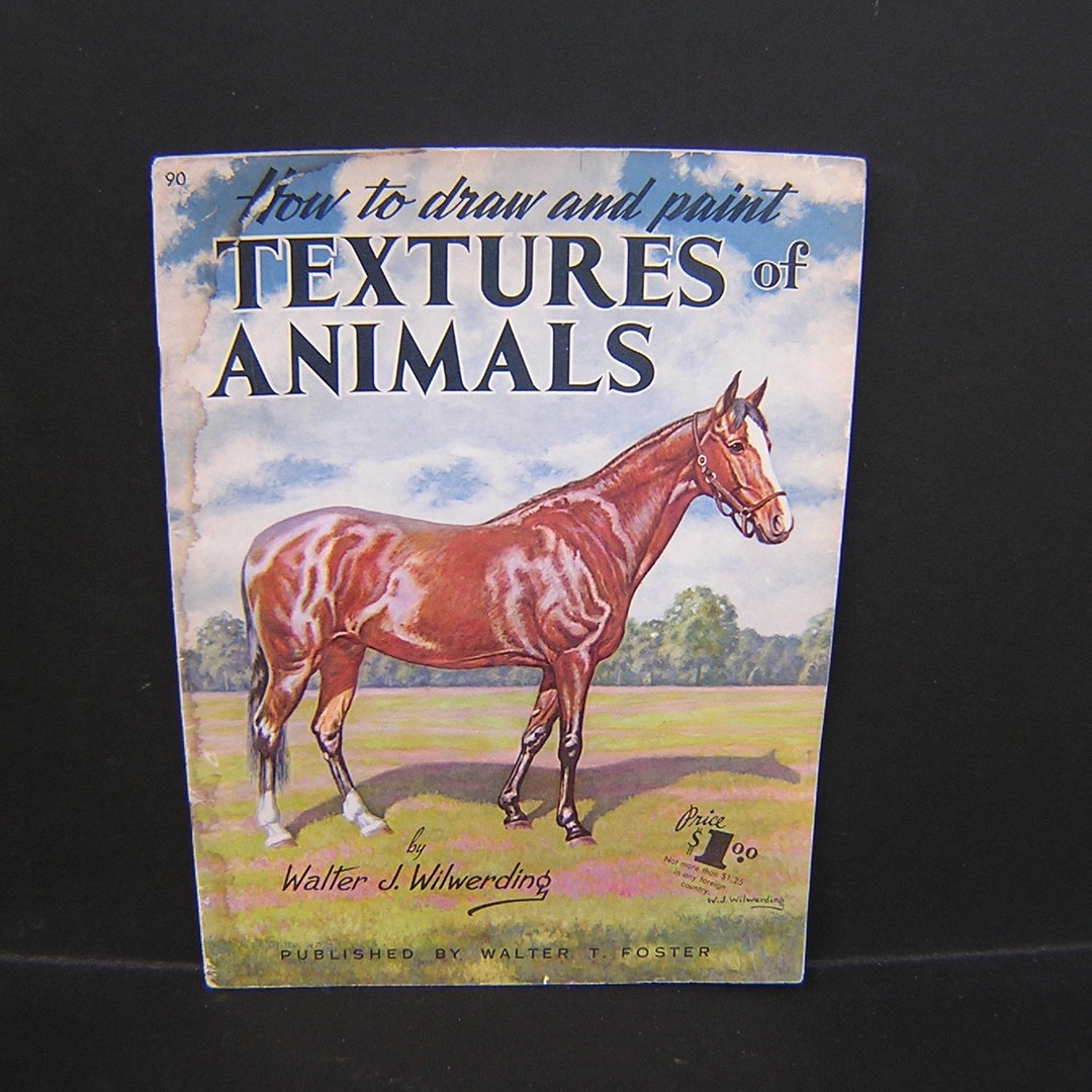 How to Draw and Painttextures of Animals by Walter J Wilwerding ...
