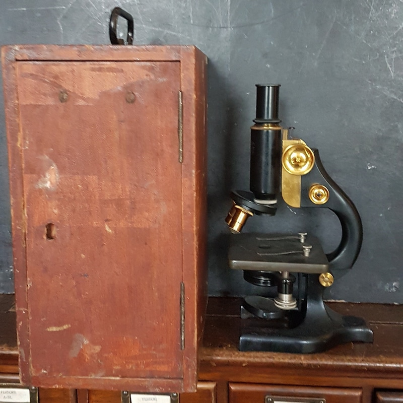 Vintage Microscope - Etsy