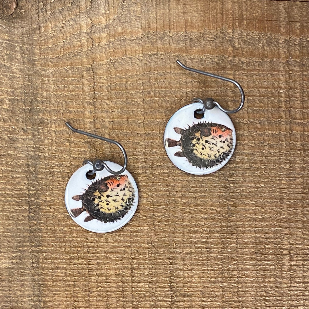 Puffer Fish, Birdbeak Burrfish, Cyclichthys Orbicularis, Enameled Fish ...