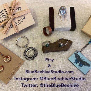 Seaweed, Horned Wrack, Fucus Ceranoides, Brown Algae, Beach Ocean ...