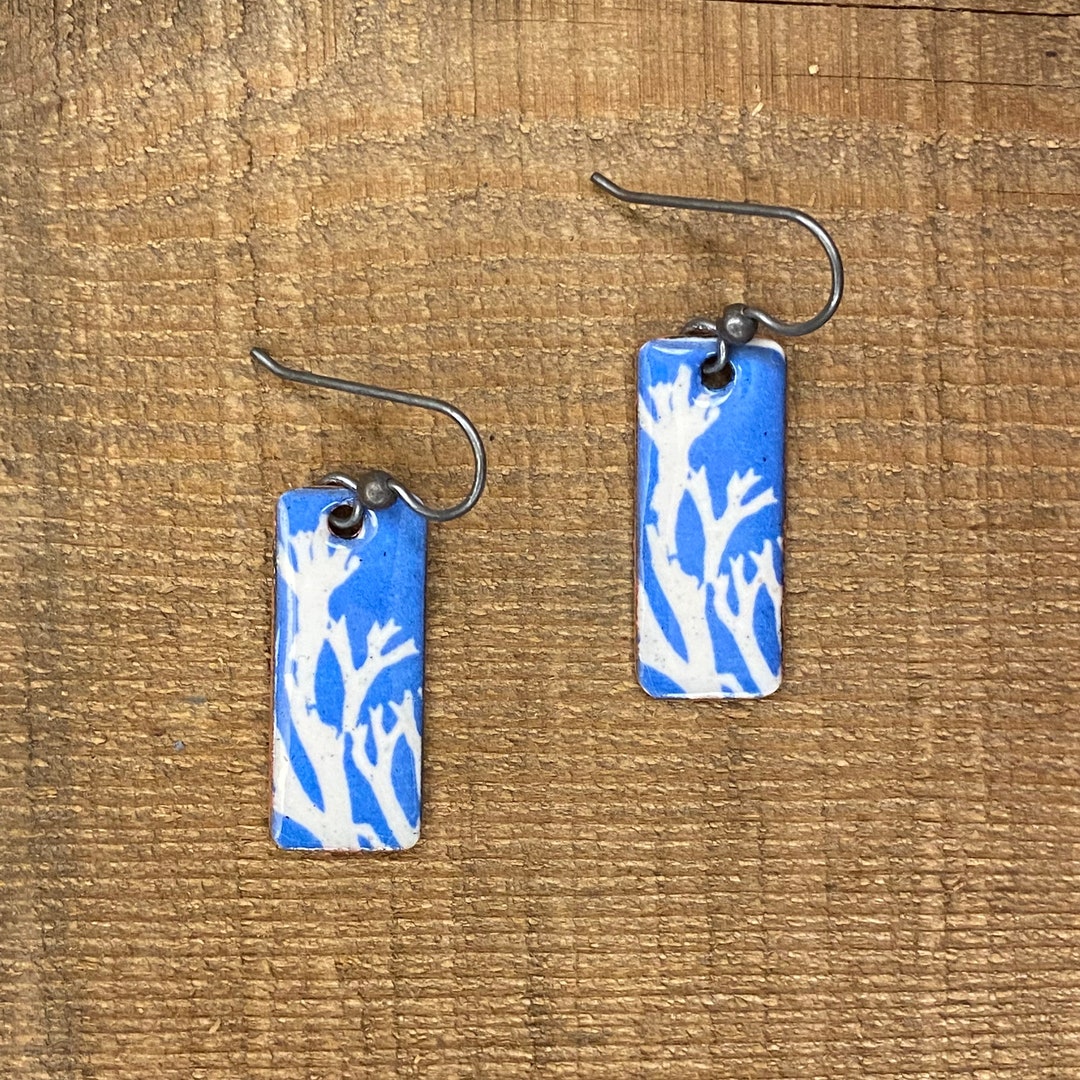 Seaweed, Horned Wrack, Fucus Ceranoides, Brown Algae, Beach Ocean ...