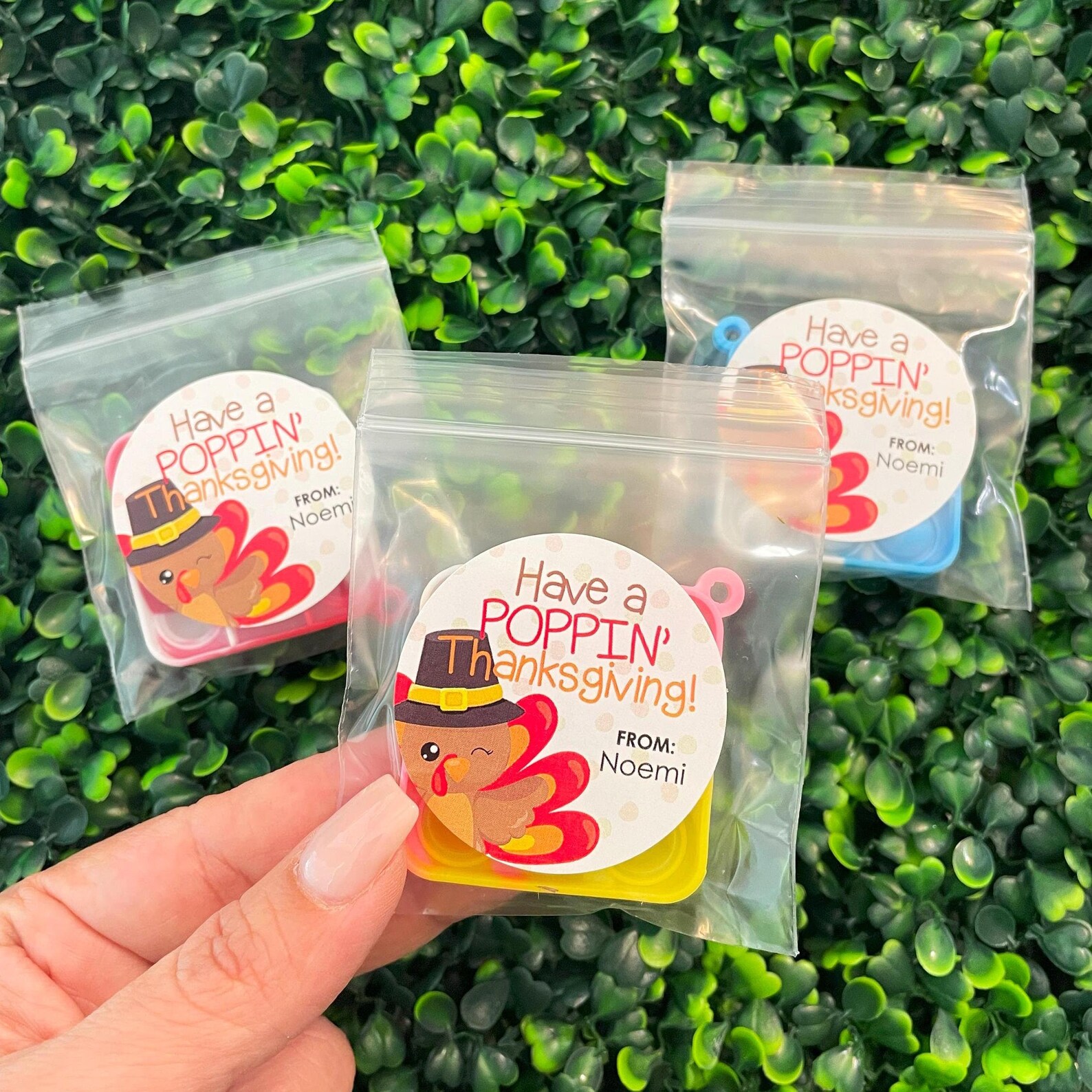 Thanksgiving Pop Toys, Thanksgiving Student Gift, Party Gift From ...