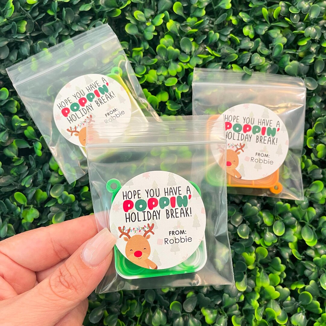 Christmas Reindeer Pop Fidget Toy: Holiday Student Gift - Etsy