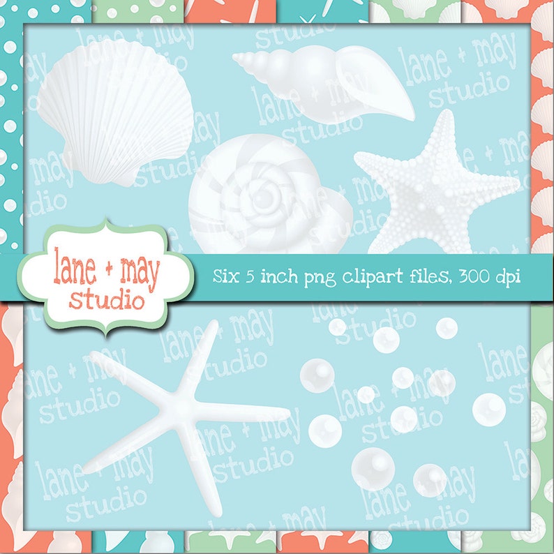 White Seashell and Starfish Digital Scrapbook Clipart - INSTANT ...