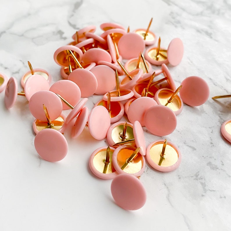 Blush Pink Push Pins Decorative Push Pins Cute Thumb Tacks | Etsy