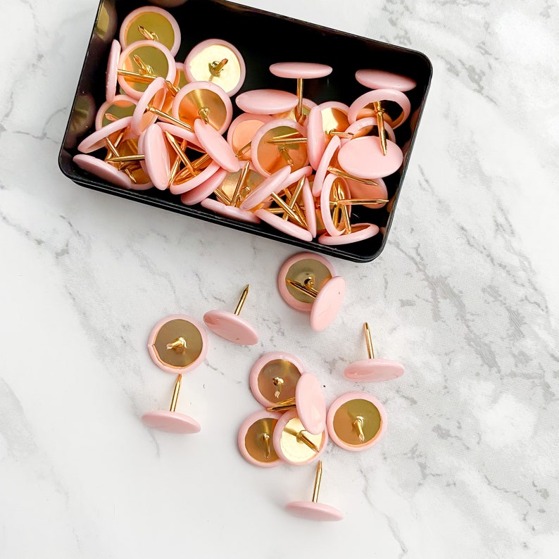 Blush Pink Push Pins Decorative Push Pins Cute Thumb Tacks | Etsy