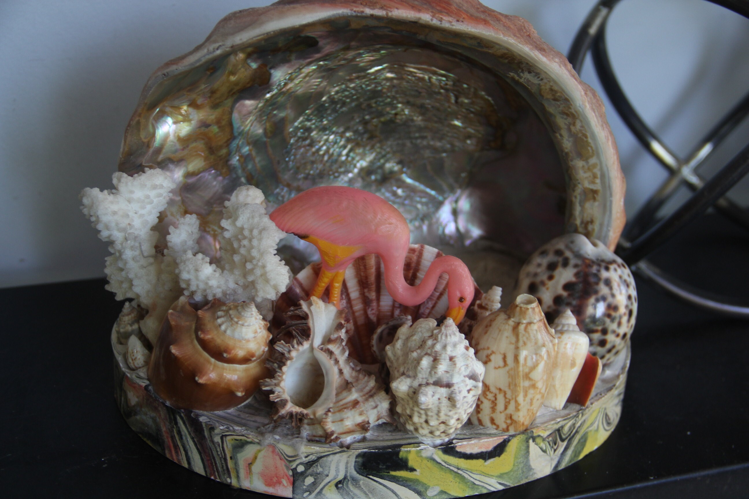 Vintage Seashell Art Vintage Shell Art in Plaster Vintage | Etsy