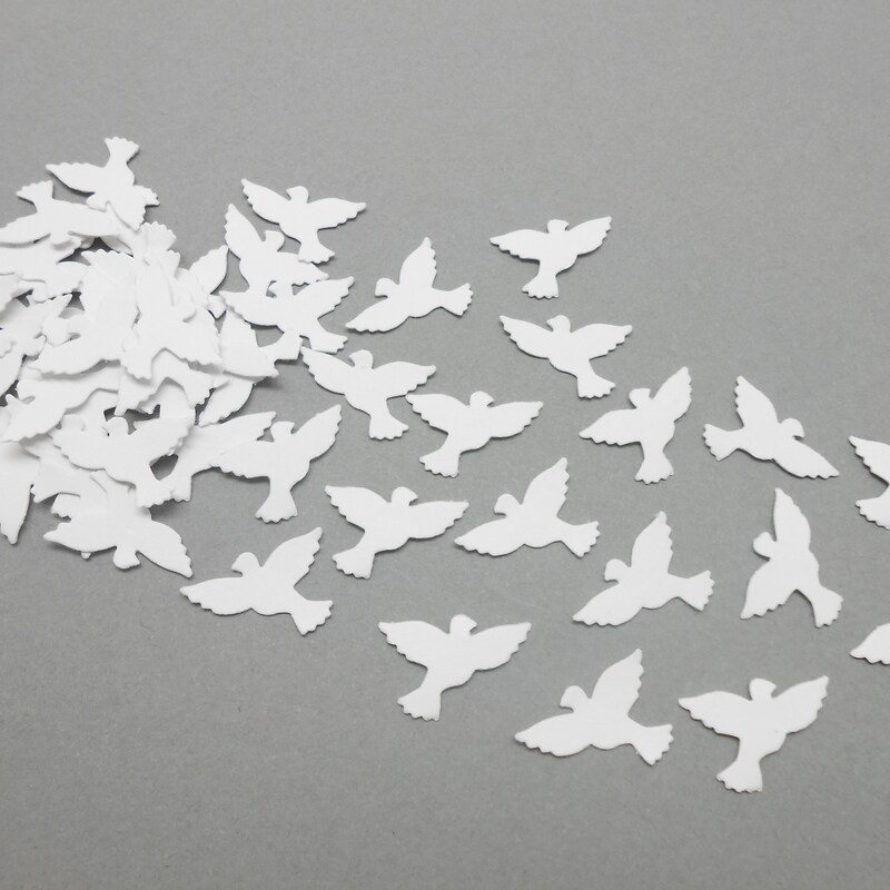 Bird Confetti - Etsy