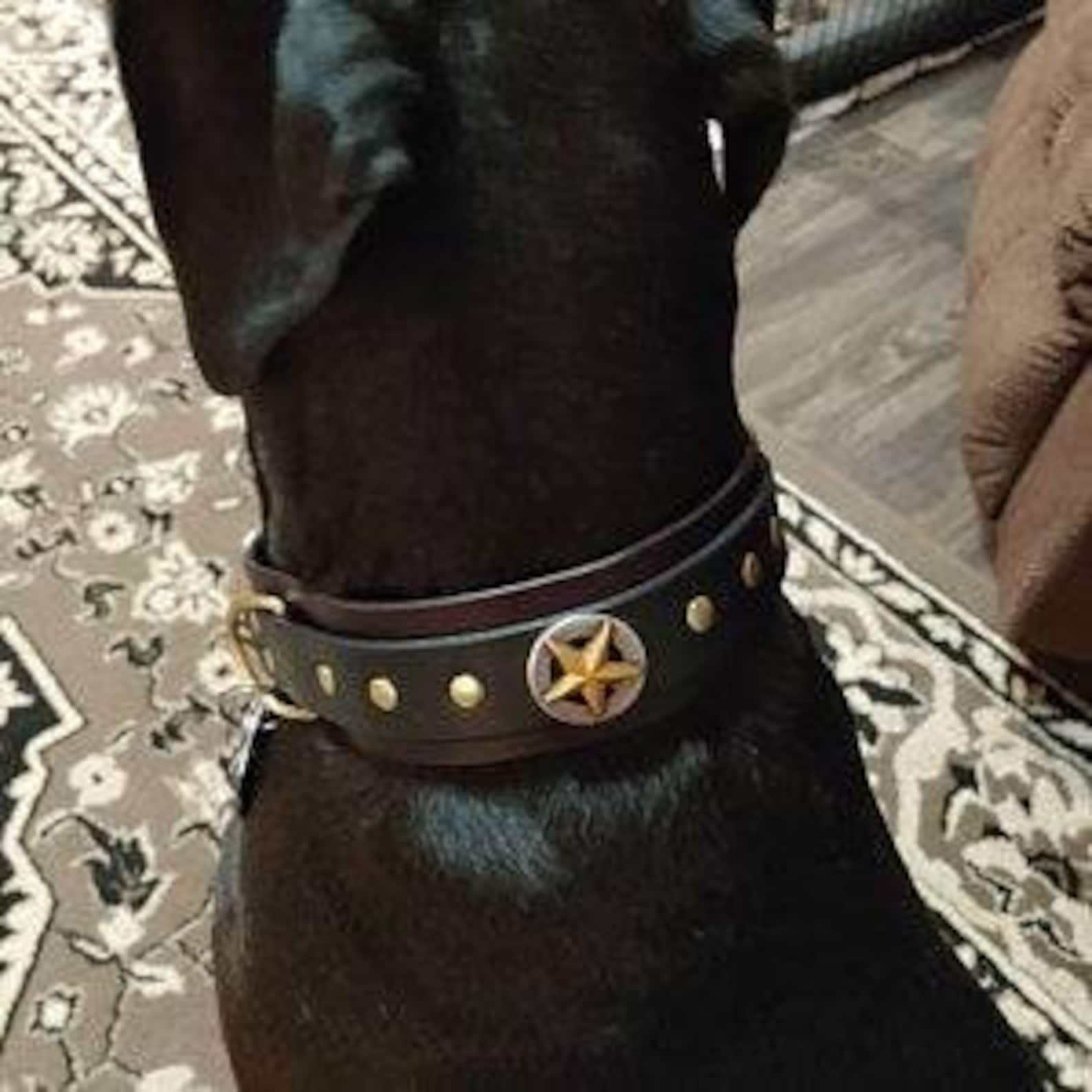 Large Leather Dog Collar 2 Inch Wide Heavy Duty Collar Great - Etsy Canada