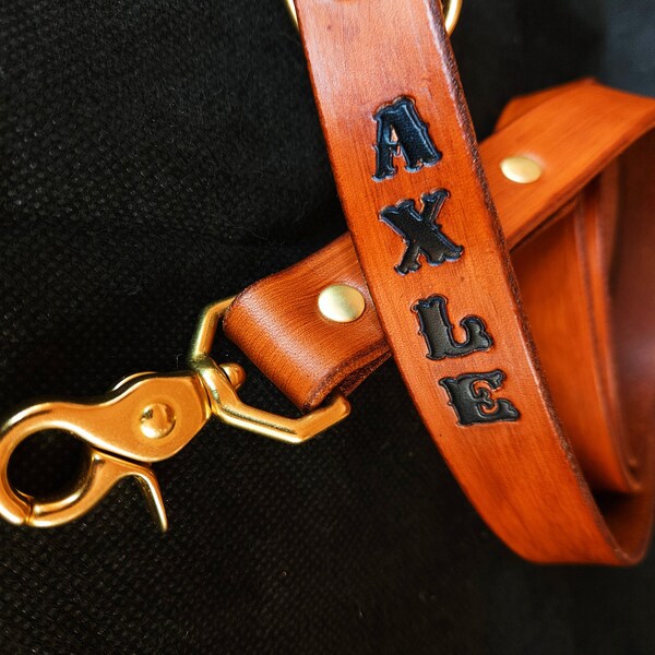 Leather Dog Leash - Etsy