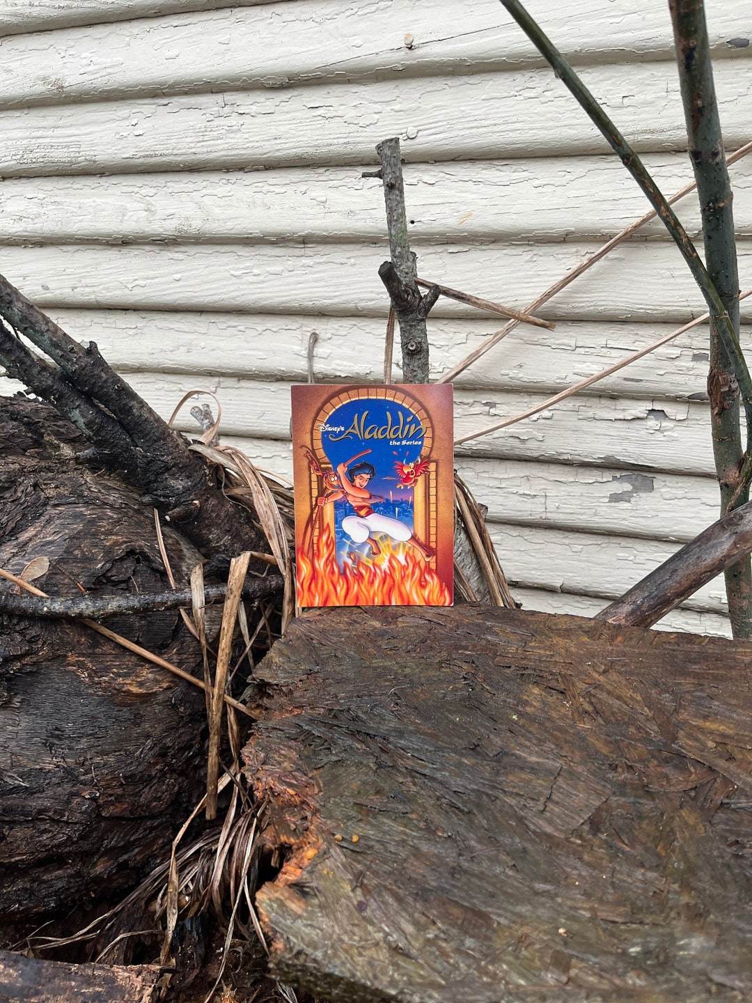 Vintage 1994 Disney's Aladdin the Series Premieres 1994 Postcard - Etsy