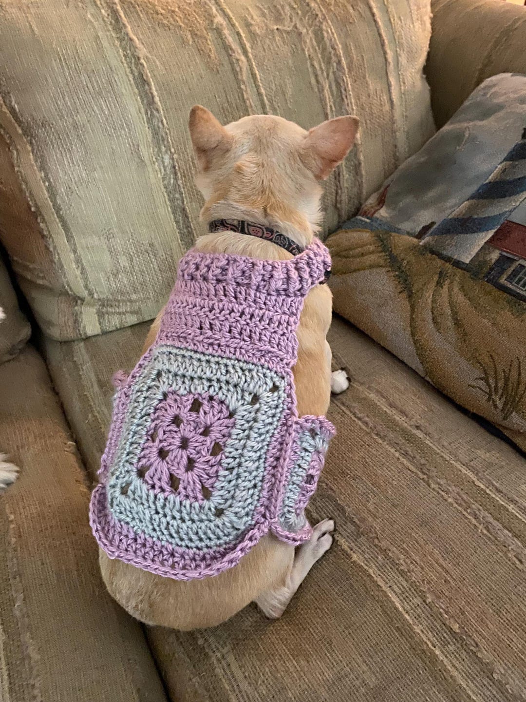 Crochet Granny Square Dog Dress Pattern PATTERN ONLY - Etsy
