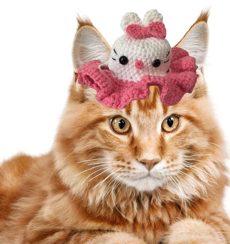 Cat Hat Kitten Hat Cat Sun Hat - Etsy