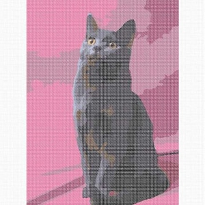 Needlepoint Kit or Canvas: Chartreux - Etsy