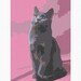 Needlepoint Kit or Canvas: Chartreux - Etsy