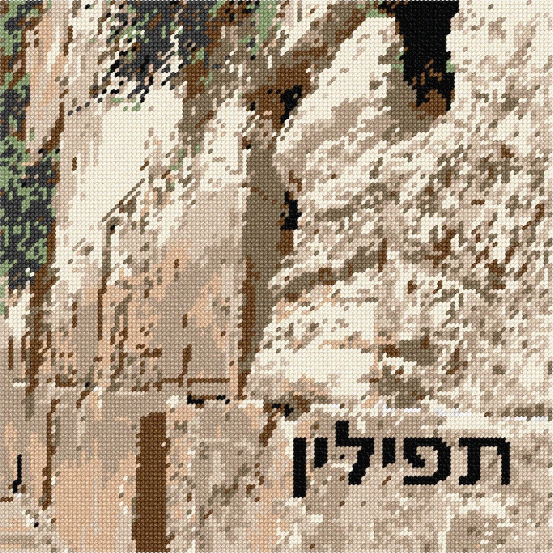Needlepoint Kit or Canvas: Tefillin Kosel - Etsy