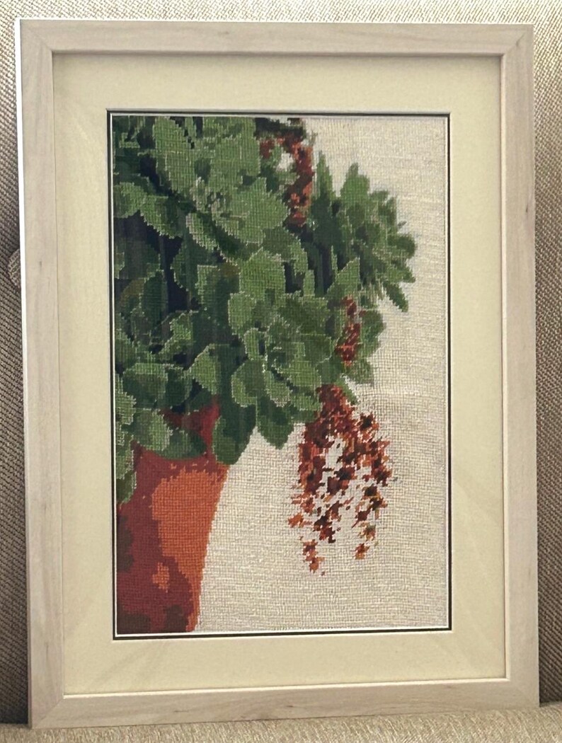 Needlepoint Kit or Canvas: Succulent Plant - Etsy