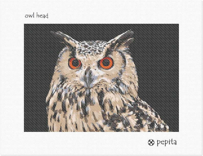 Needlepoint Kit or Canvas: Owl Head - Etsy