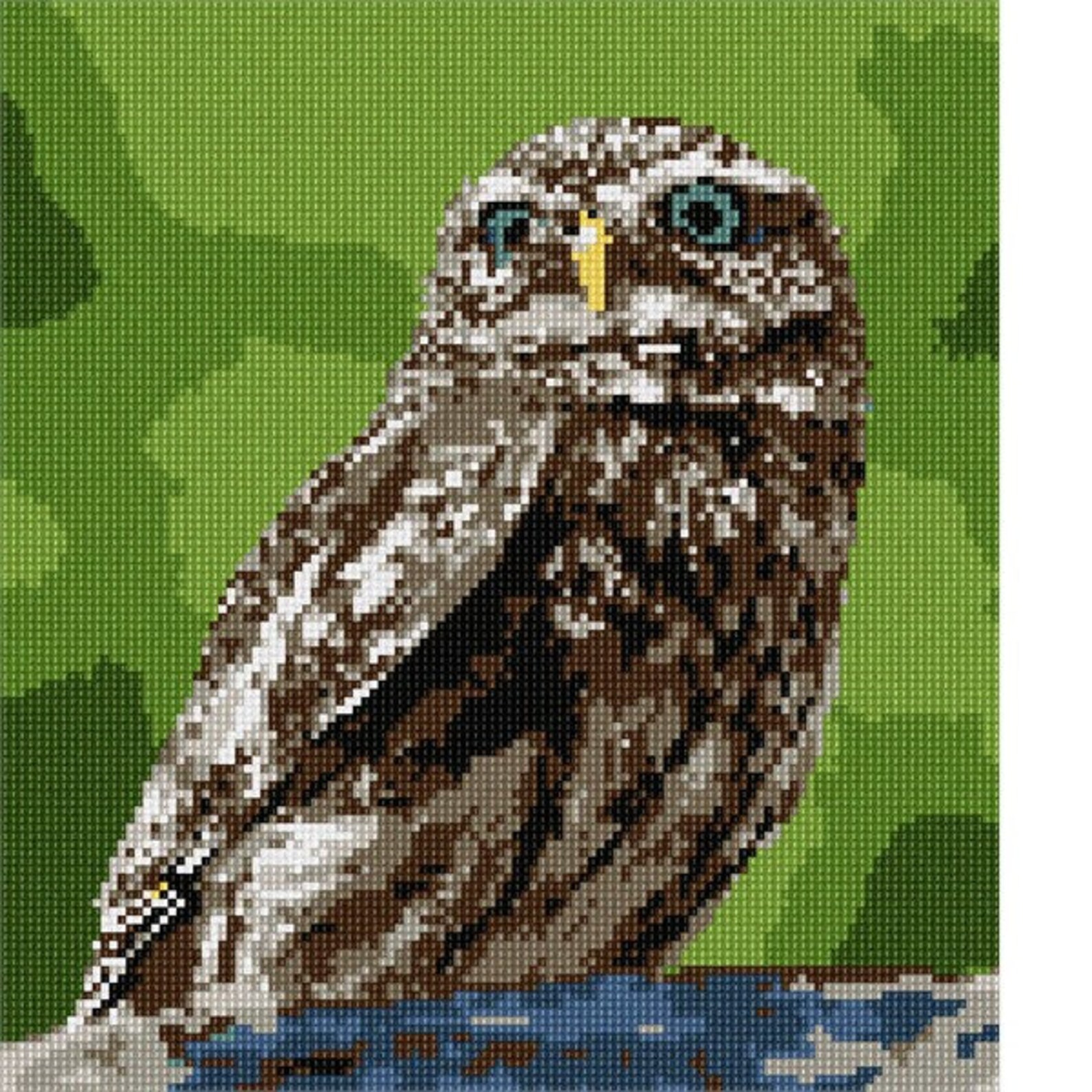 Owl Needlepoint Kit by Pepita | Etsy