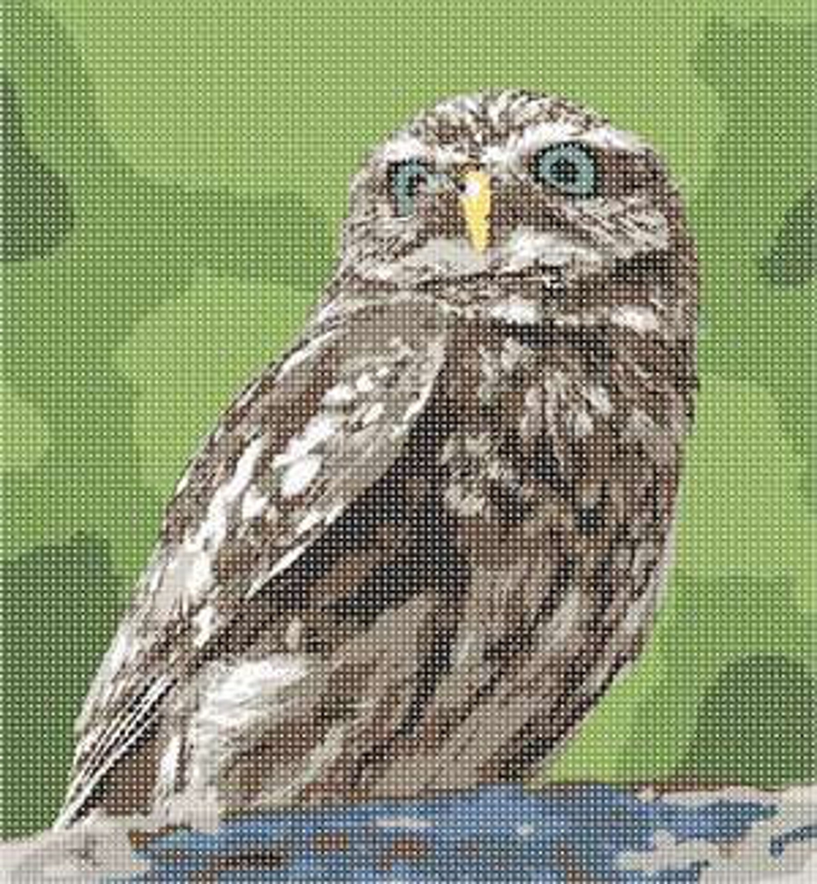 Owl Needlepoint Kit by Pepita - Etsy