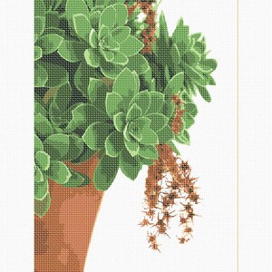Needlepoint Kit or Canvas: Succulent Plant - Etsy