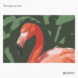 Needlepoint Kit or Canvas: Flamingo up Close - Etsy