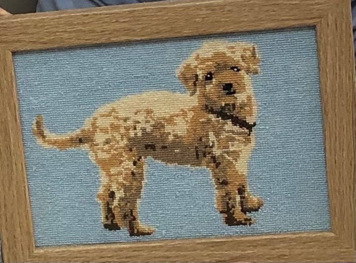 Needlepoint Kit or Canvas: Doggy - Etsy