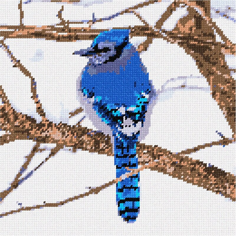 Blue Jay Wings - Etsy