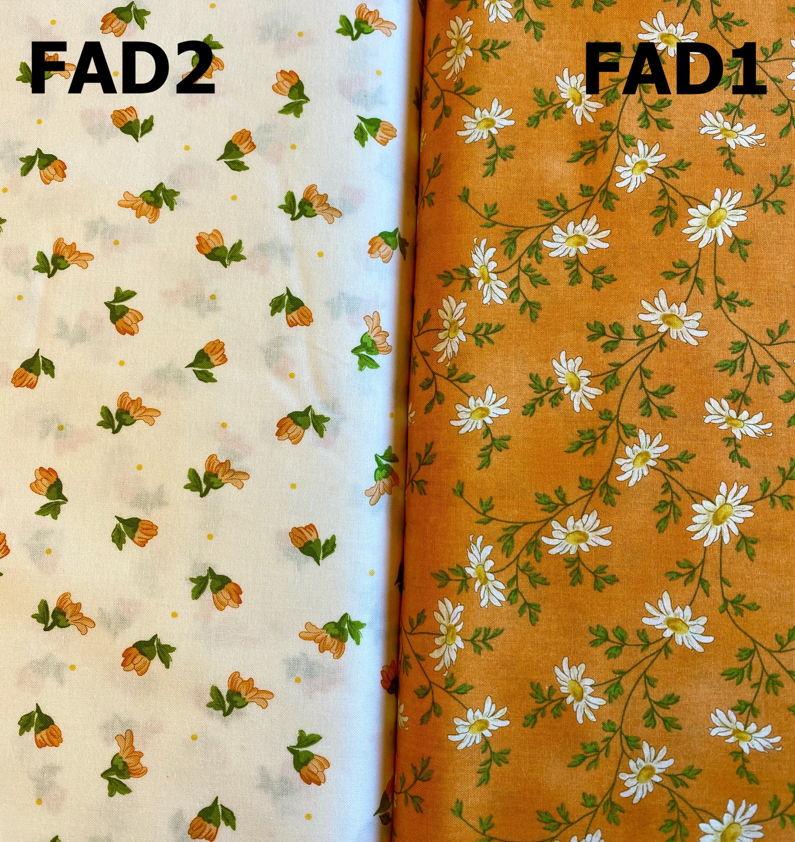 Fabric by the yard Fresh as a Daisy by Maywood Studios | Etsy