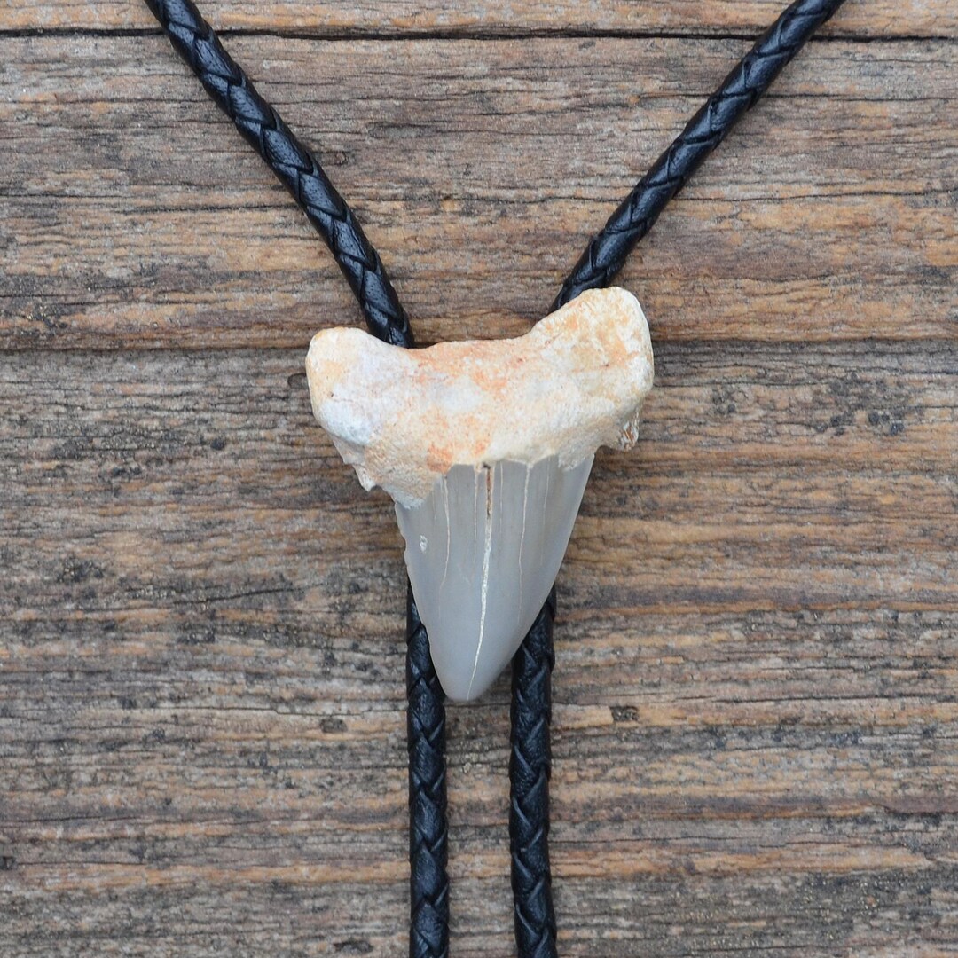 Shark Tooth Fossil Bolo Tie - Customizable Cord Color, Tips and Length ...