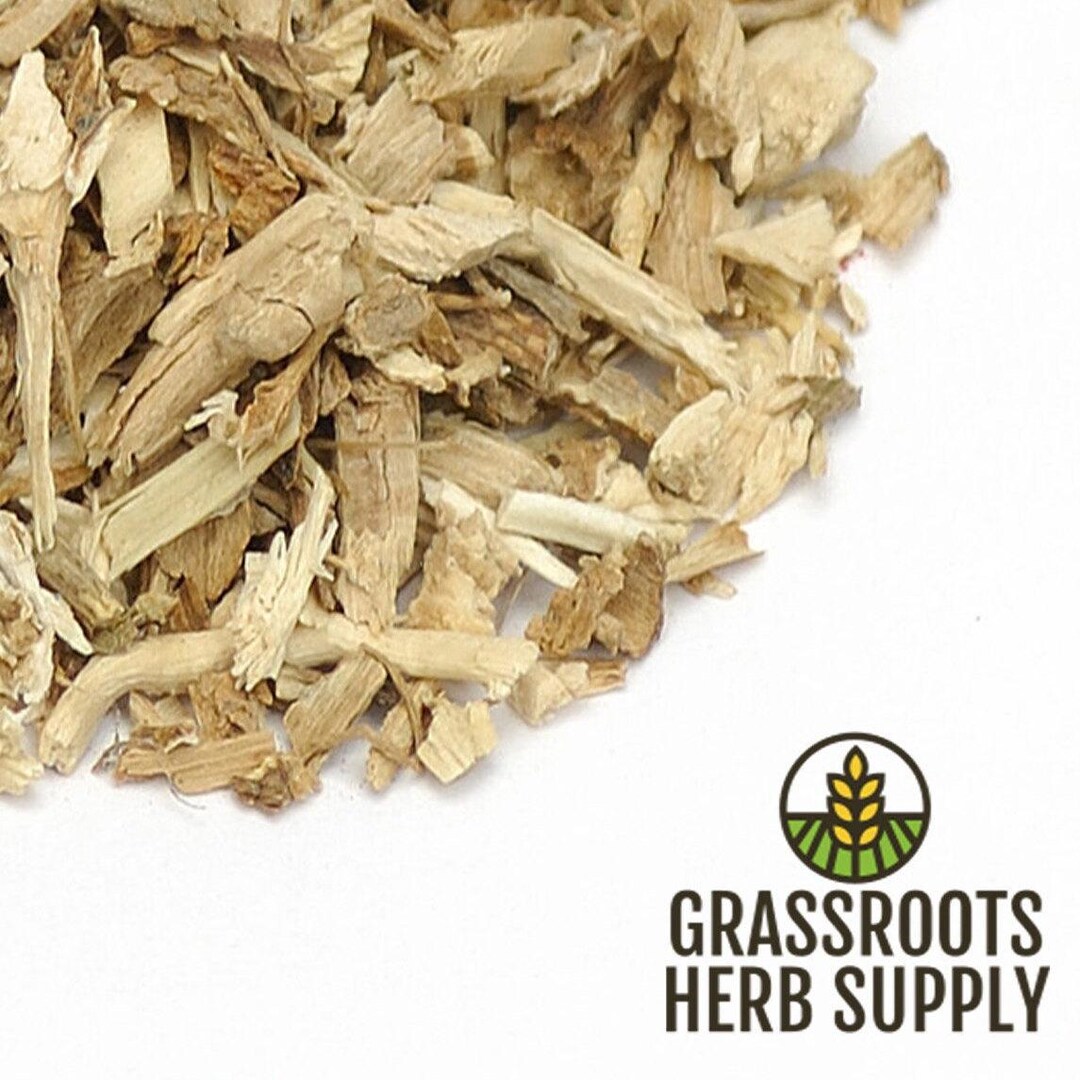 Chicory Root Raw, C/s (cichorium Intybus) - Etsy