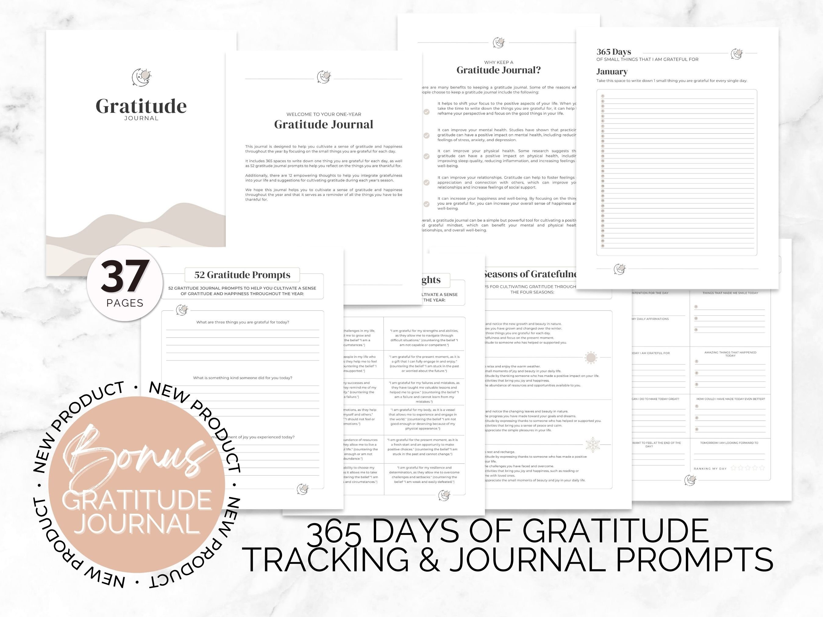 Daily Gratitude Cards Encouragement Cards Printable Positive ...