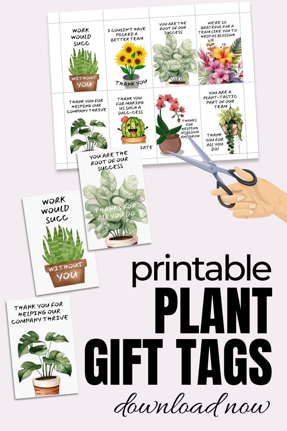 Succulent Gift Tags for Team Appreciation Gift Staff Thank You Card ...