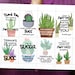 Succulent Gift Tags for Team Appreciation Gift Staff Thank You Card ...