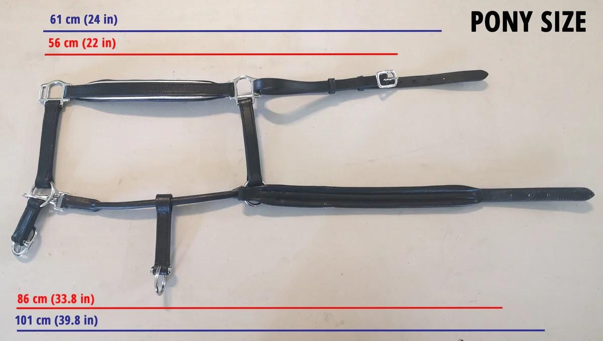 Horse Leather Halter | Brass Fittings | Brass Colour | Custom Halter ...