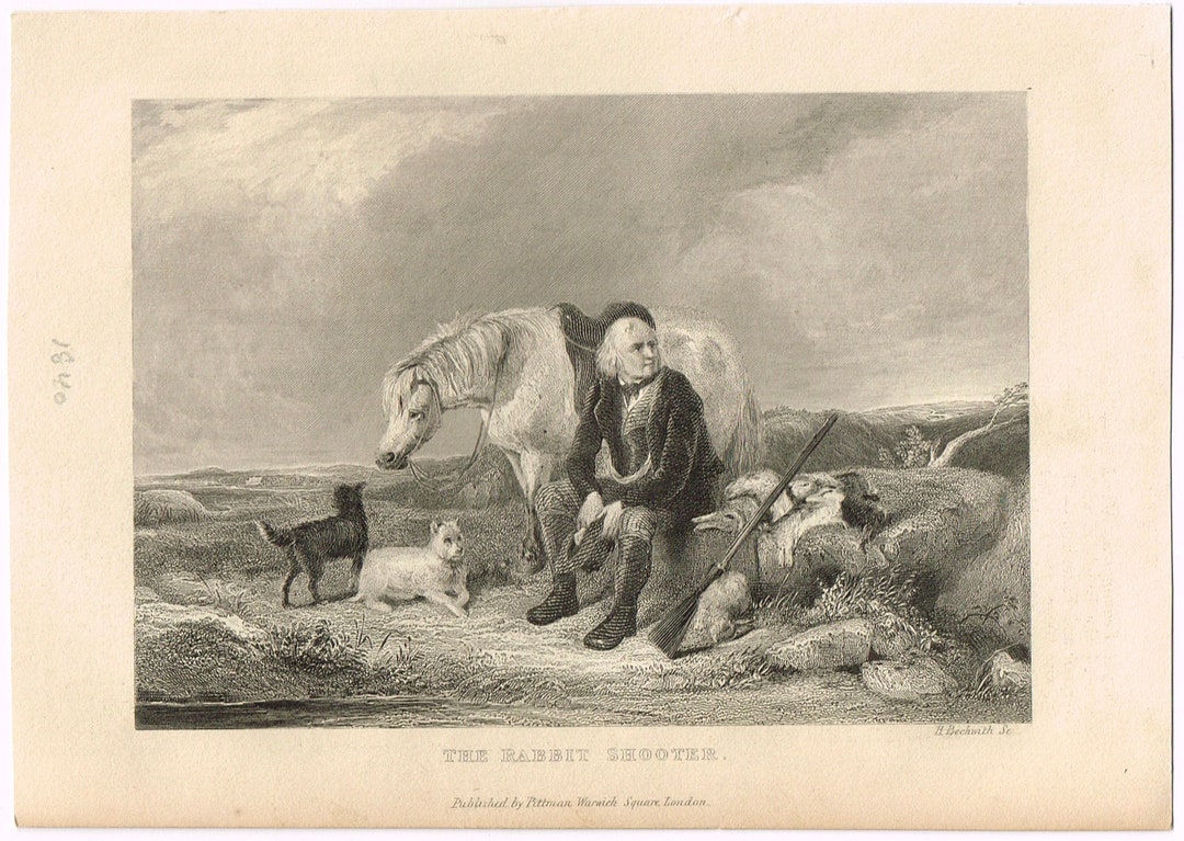 Antique Vintage 1800s, Victorian Etching Engraving Print ' the Rabbit ...