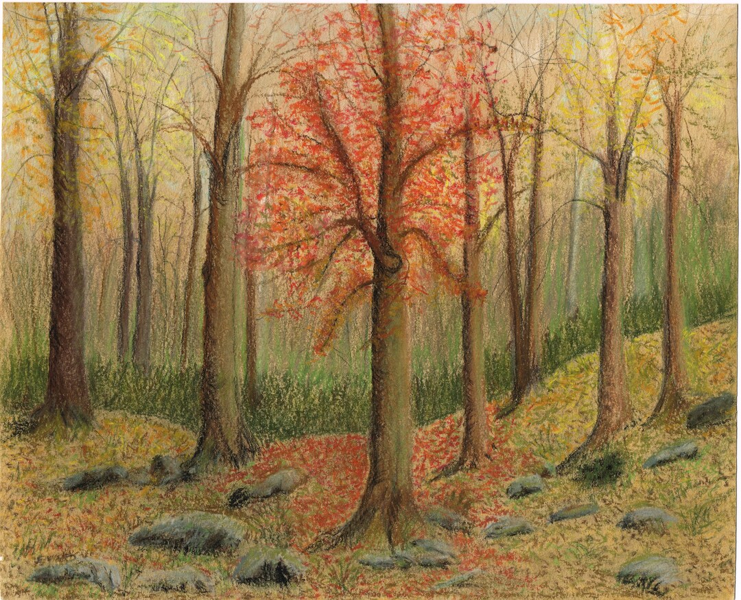 Vintage Pastel Drawing of Trees in Autumn / Fall - Etsy